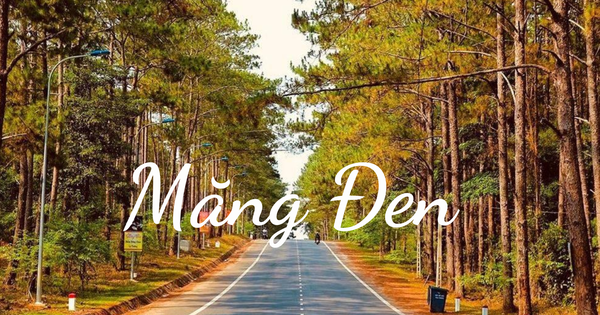 TOP 10 Khách Sạn Không Thể Bỏ Qua ở Măng Đen - Măng Đen Trip